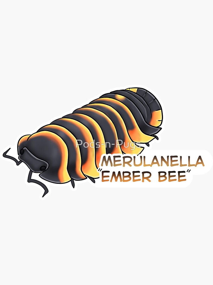 "Merulanella "Ember Bee" name tag" Sticker for Sale by Pods-n-Pugs ...