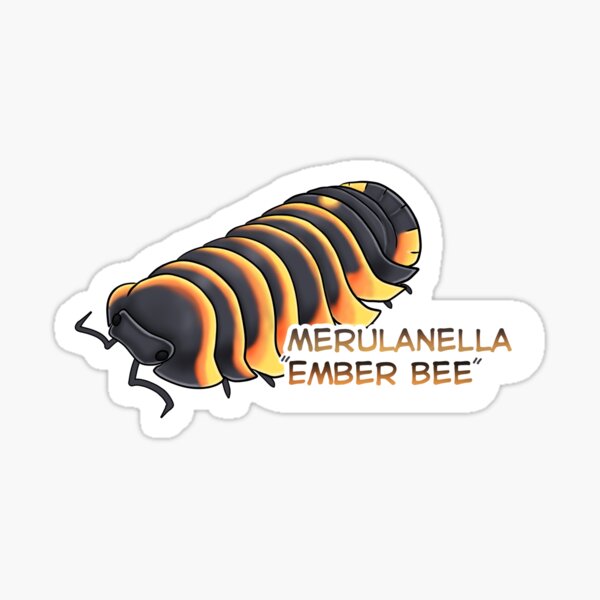 "Merulanella "Ember Bee" name tag" Sticker for Sale by Pods-n-Pugs ...