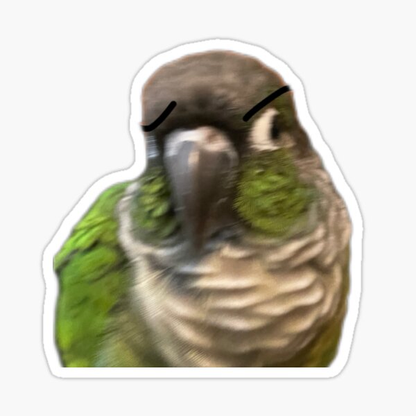 2-green-floofs Shop | Redbubble