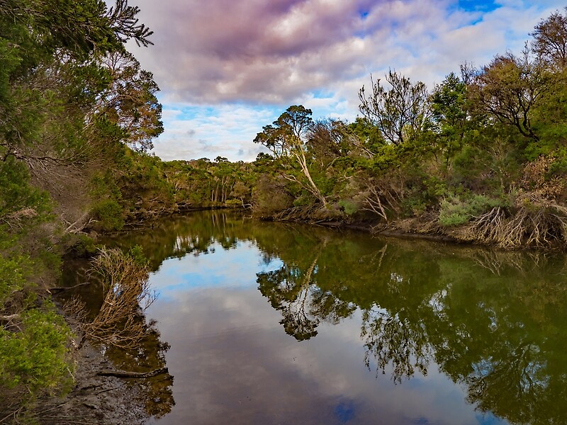 "Reflections at Balcombe Creek" by crissyimagery | Redbubble