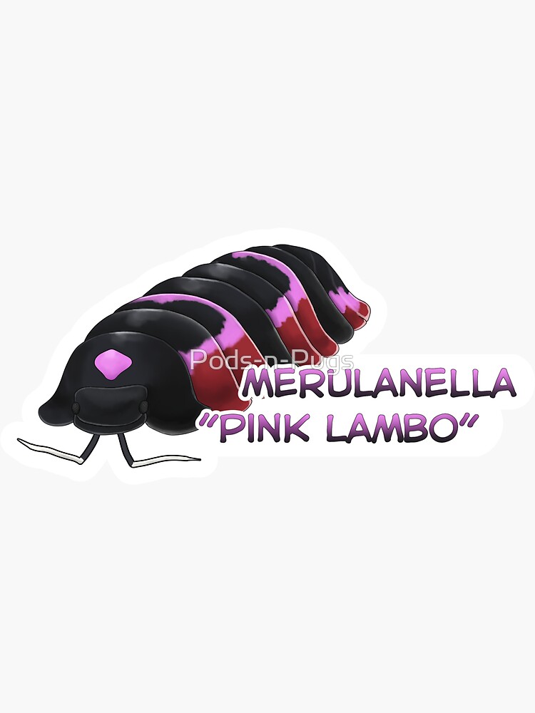 "Merulanella "Pink Lambo" name tag" Sticker for Sale by Pods-n-Pugs ...