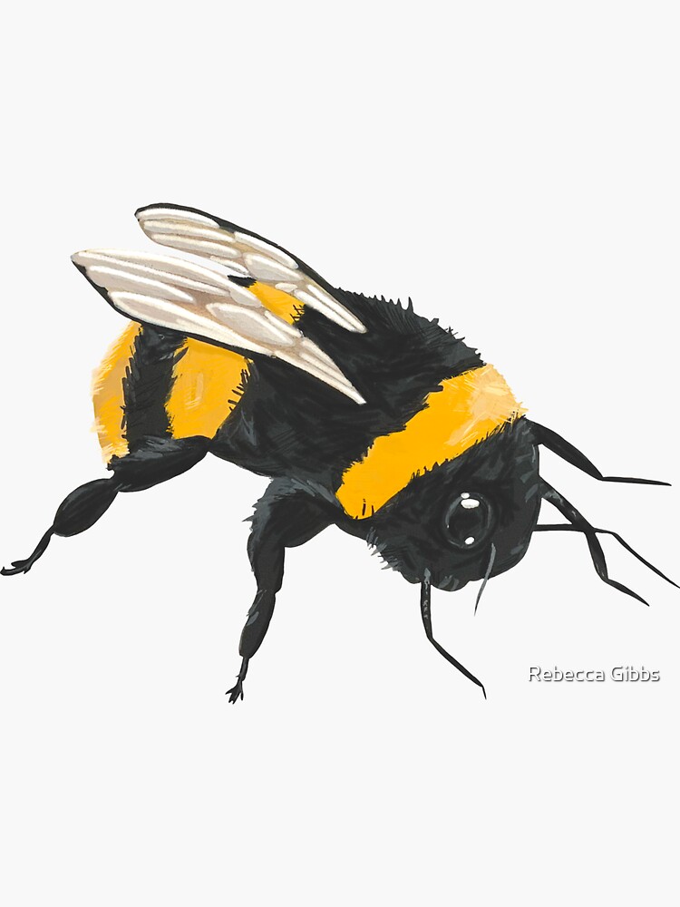 "Bumblebee " Sticker for Sale by Rebecca Gibbs | Redbubble