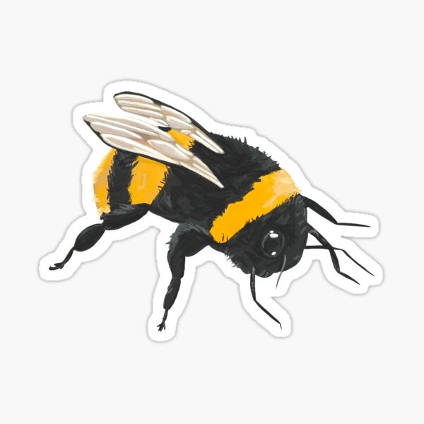 "Bumblebee " Sticker for Sale by Rebecca Gibbs | Redbubble