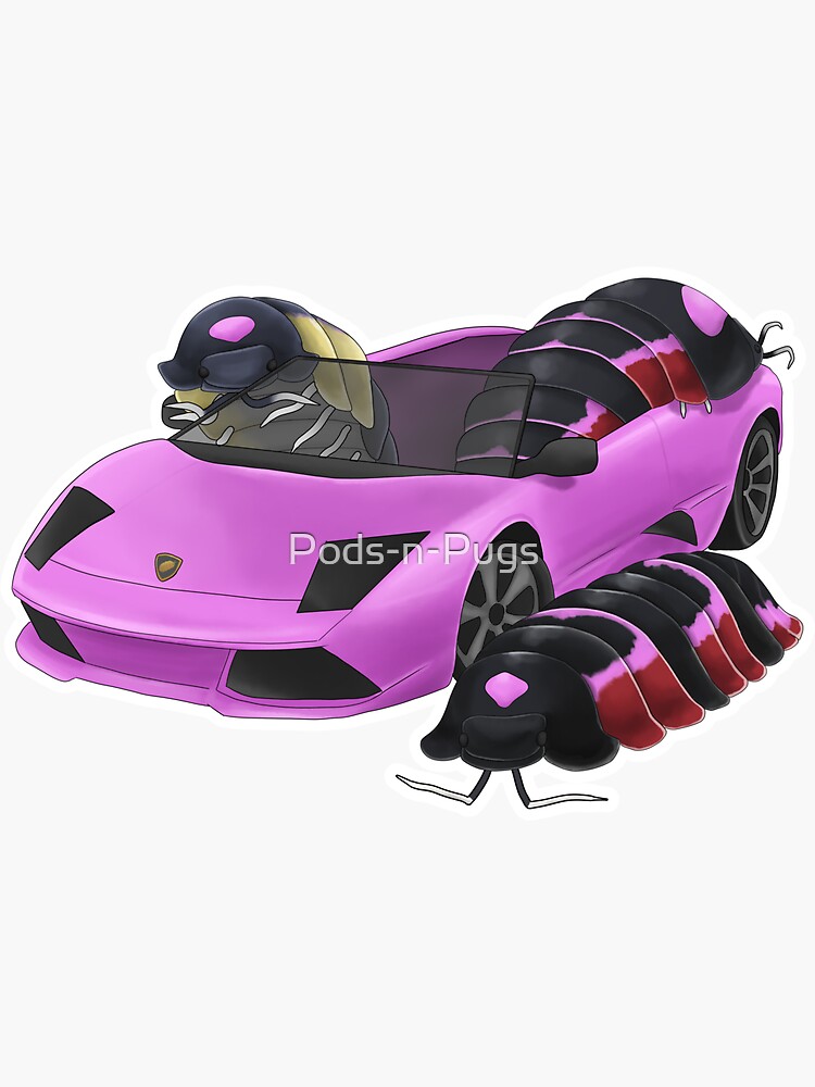 "Merulanella "Pink Lambo"" Sticker for Sale by Pods-n-Pugs | Redbubble