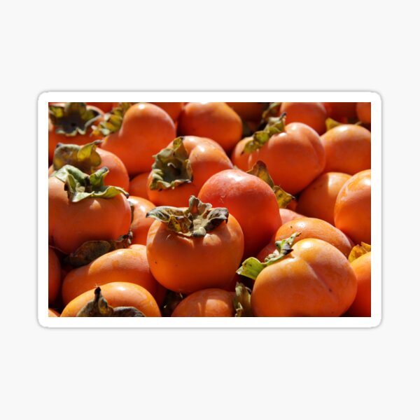 "photo of box of ripe persimmon" Sticker by amekamura | Redbubble