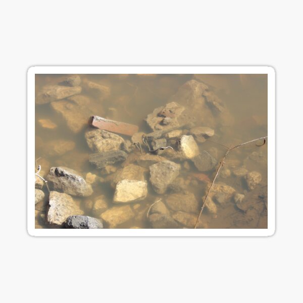 "Sunken Rubble" Sticker for Sale by Gray-Atelier | Redbubble