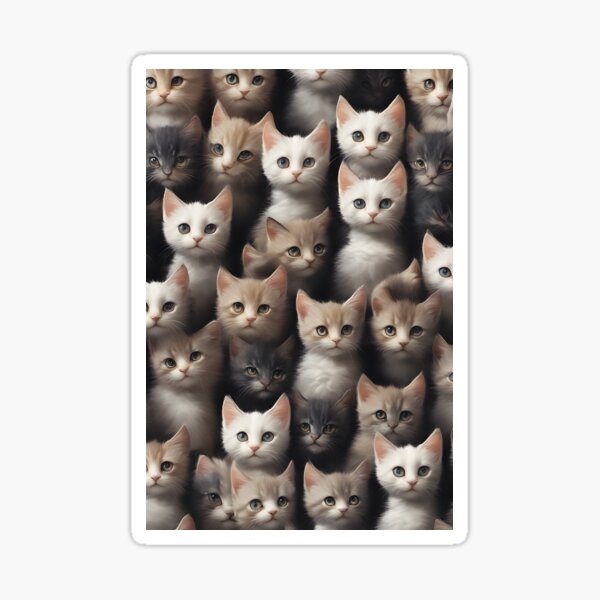 "Kittens infinity" Sticker for Sale by Cord75 | Redbubble