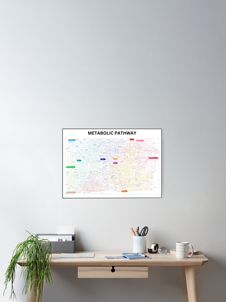 "Metabolic pathway map" Poster for Sale by ScienceStores | Redbubble