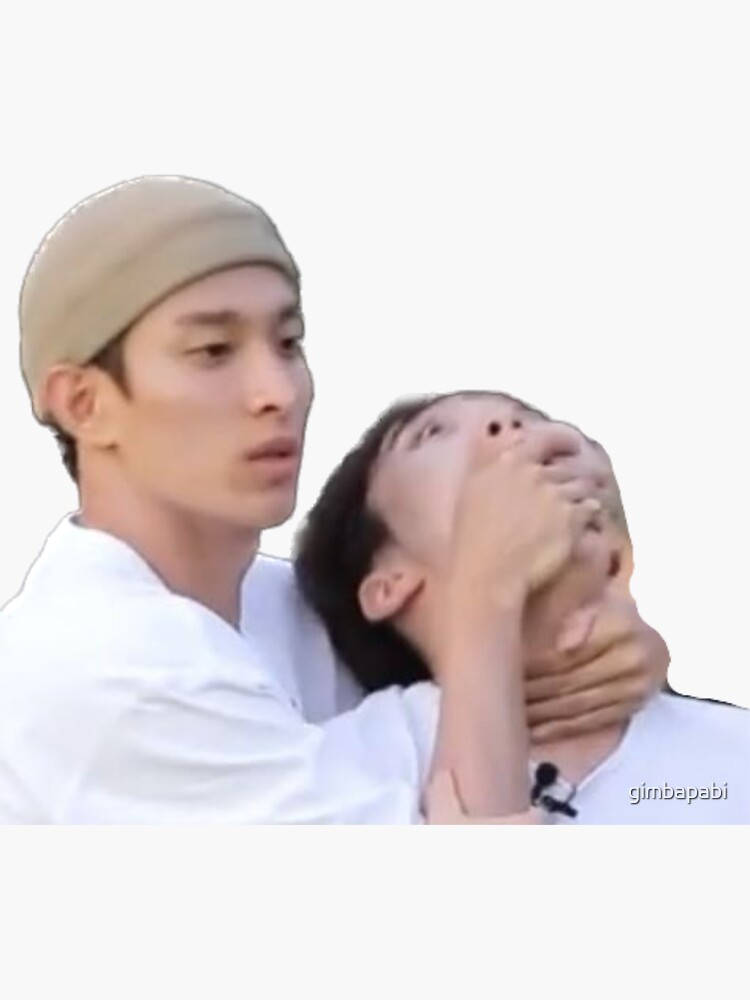 "seungkwan and dk meme" Sticker for Sale by gimbapabi | Redbubble