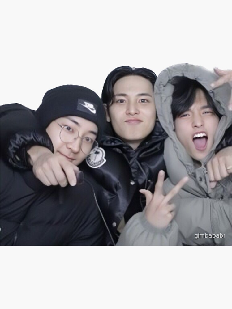 "wonwoo, mingyu, and dokyeom in the soop" Sticker for Sale by gimbapabi ...