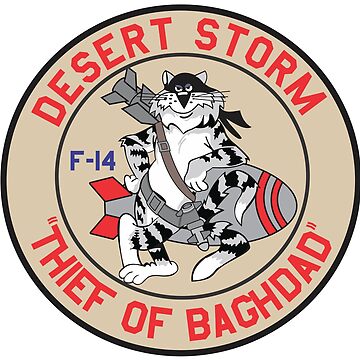 "F-14 Tomcat - Desert Storm - Thief of Baghdad - Clean Style" Poster for Sale by TomcatGypsy ...