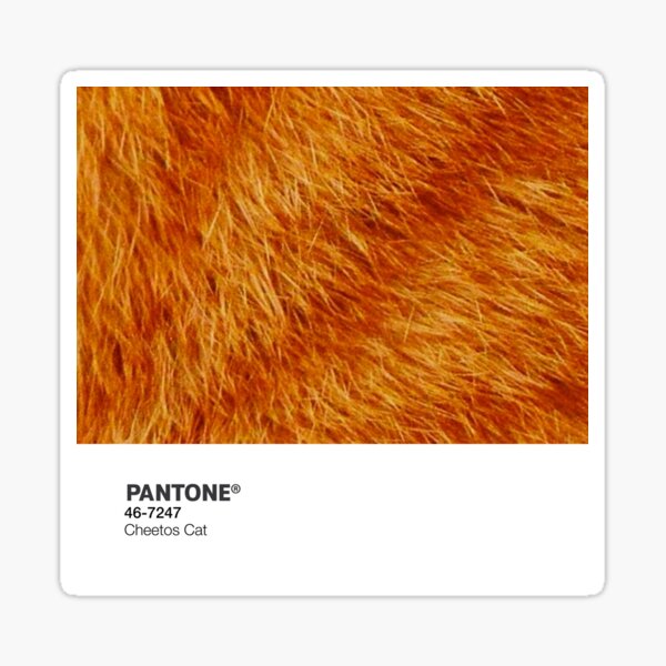 "Pantone Cheetos Cat" Sticker for Sale by nestastic | Redbubble