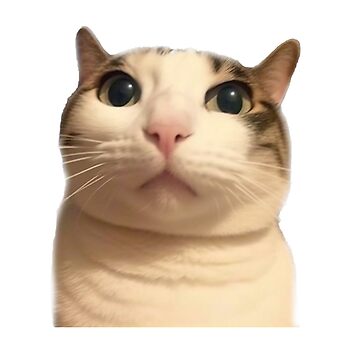 "Funny Face Meme Cat " Sticker for Sale by Darcekar | Redbubble