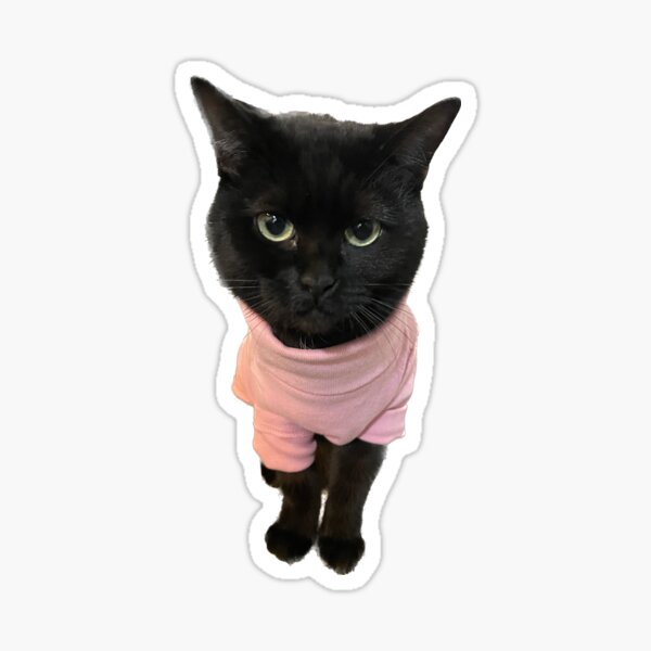 Dabi Merch & Gifts for Sale | Redbubble