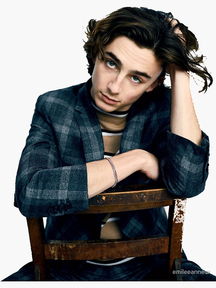 "Timmy!!" Sticker for Sale by emileeannew | Redbubble