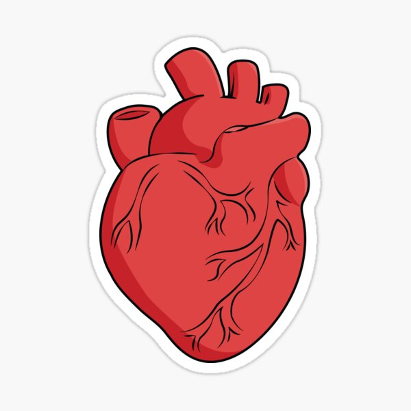 "BIG heart" Sticker for Sale by Randoms ! | Redbubble