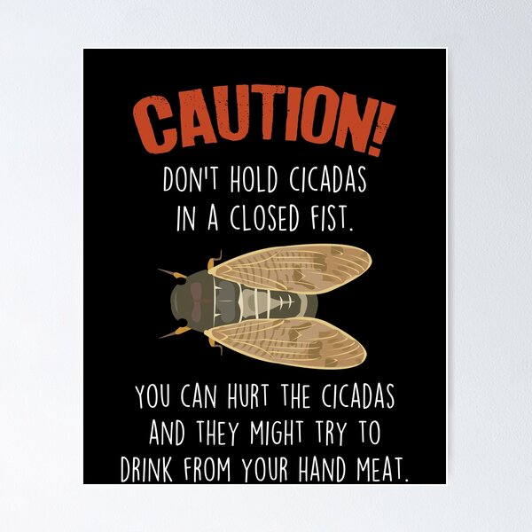 Cicada Wall Memes