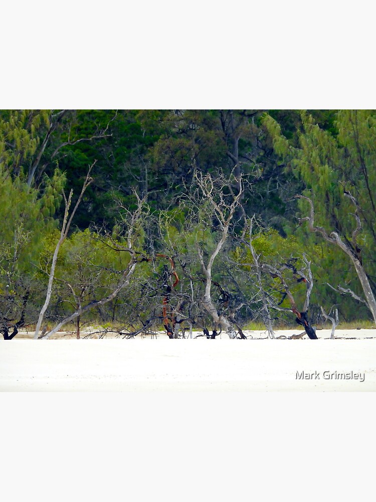 "Kgari (fraser Island) landscape " Sticker for Sale by Mark Grimsley ...
