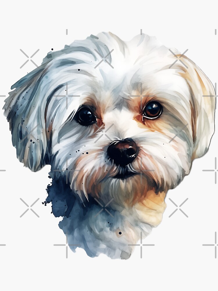 "A Cute Maltese Dog" Sticker for Sale by intothehype | Redbubble