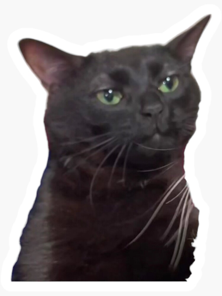 Pegatina for Sale con la obra «Meme gato disociado Pegatina» de ...