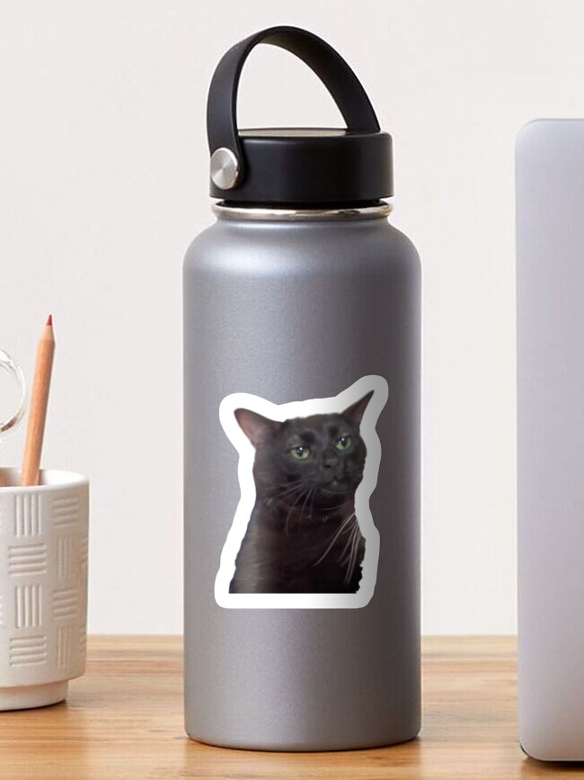 Pegatina for Sale con la obra «Meme gato disociado Pegatina» de ...