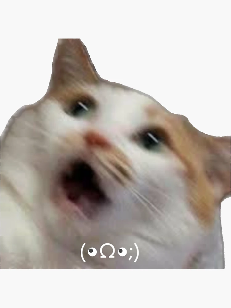 Worried Cat Memes Scared Cat Meme Etsy