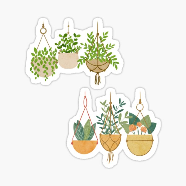 "Hanging Plants Set" Sticker for Sale by BookishlyBailey | Redbubble