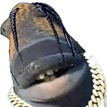 "Trafish Scott" Sticker for Sale by marvil-co | Redbubble