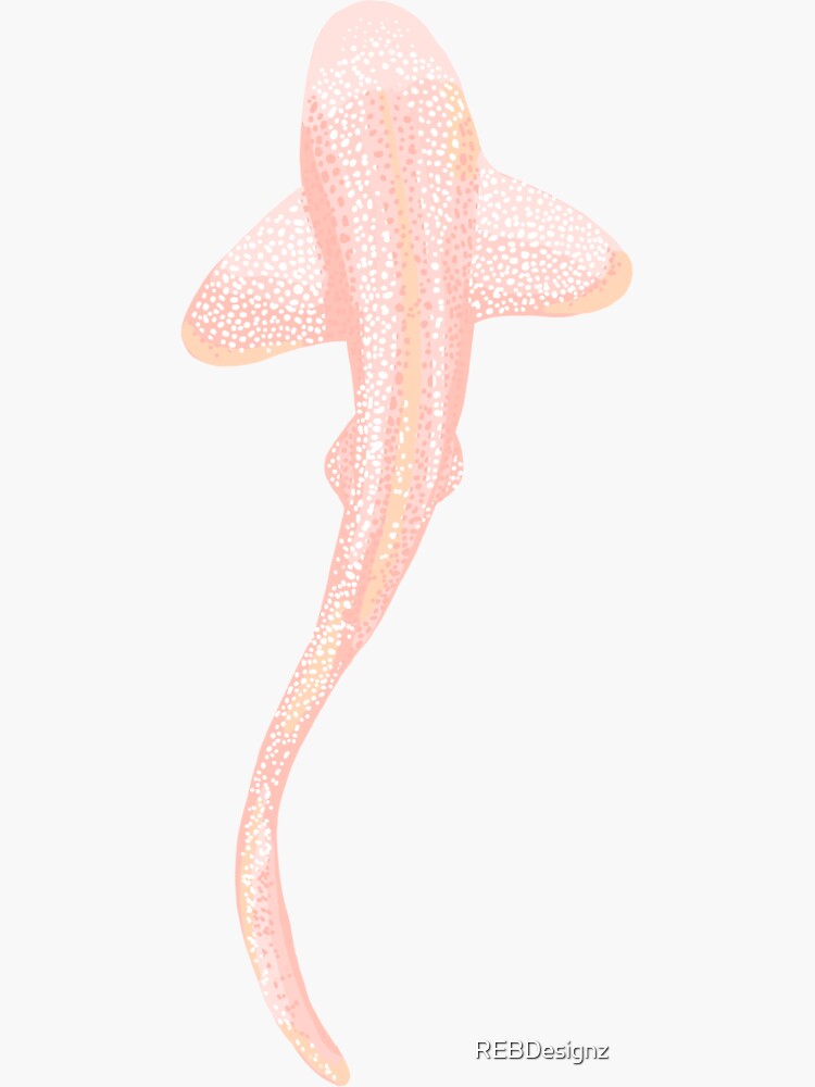 "pink shark!" Sticker for Sale by REBDesignz | Redbubble