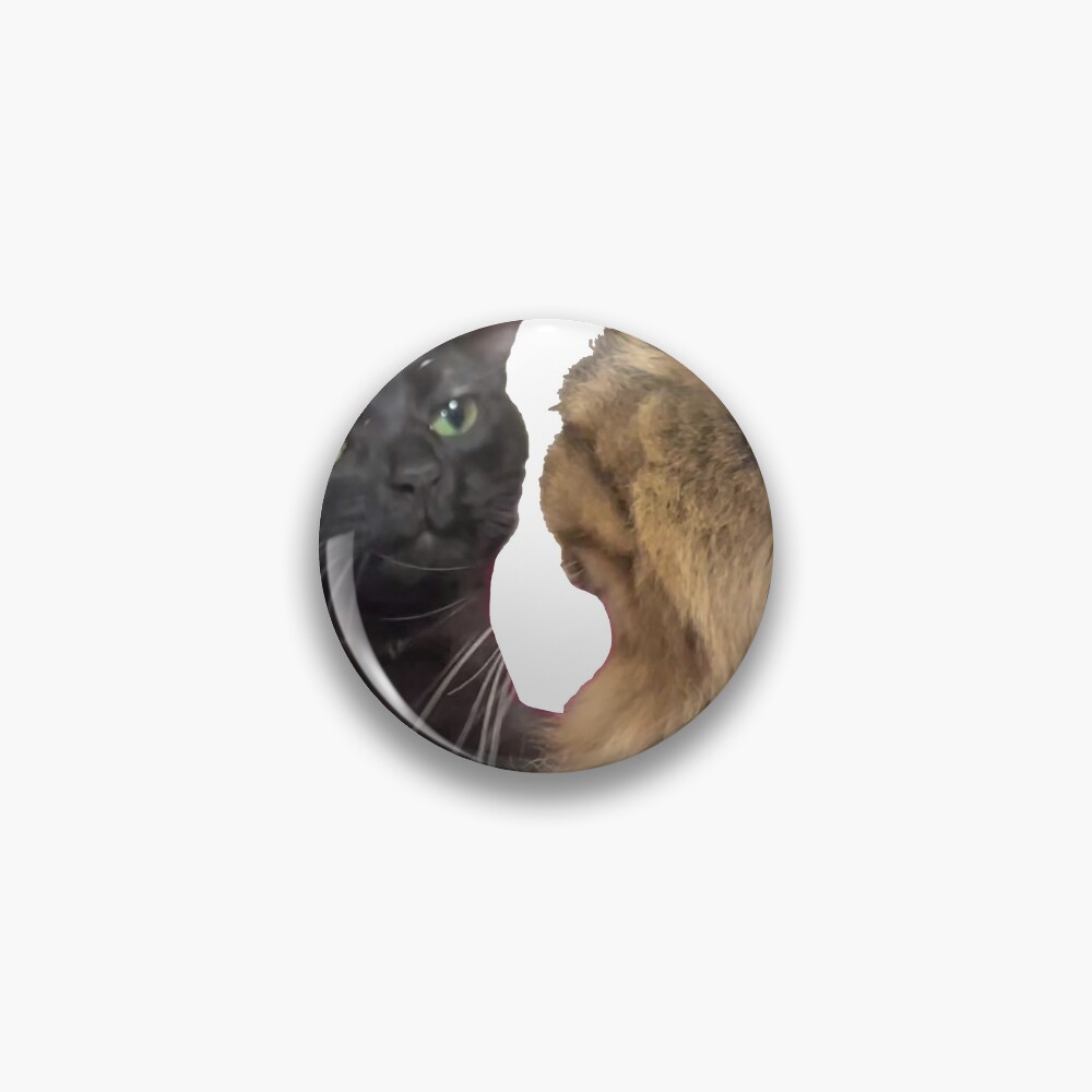 "Zoned-Out Cat" Sticker for Sale by marvil-co | Redbubble