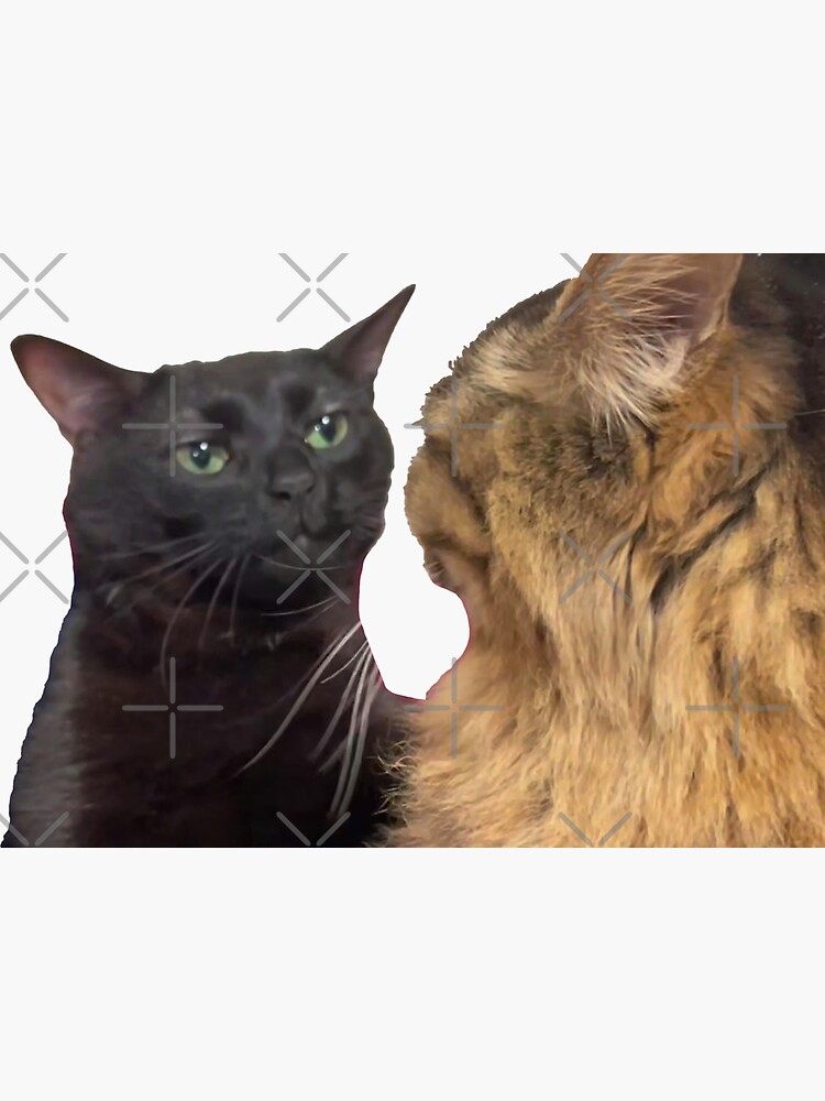 "Zoned-Out Cat" Sticker for Sale by marvil-co | Redbubble