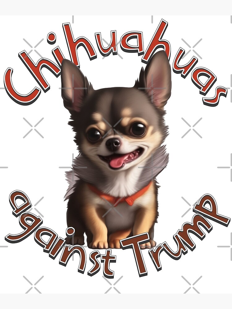 Trump Chihuahua Memes