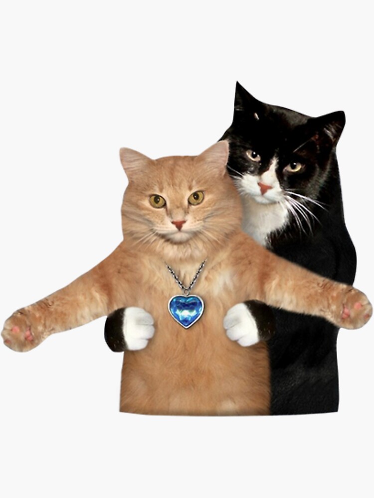 "cat couple" Sticker for Sale by DreamVectorArts | Redbubble