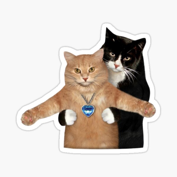 "cat couple" Sticker for Sale by DreamVectorArts | Redbubble