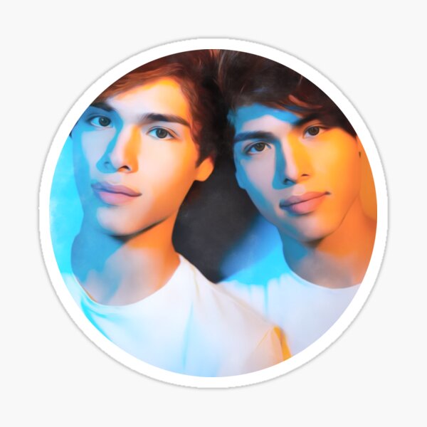 "Alan and Alex Stokes Twins" Sticker for Sale by hakkamamr7 | Redbubble