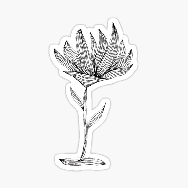 "Flower line art drawing " Sticker for Sale by primaiaart | Redbubble