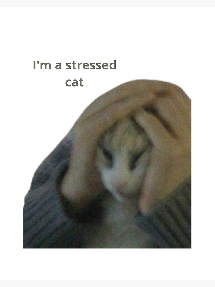 "I'm a stressed cat meme" Art Board Print by Nalartswork | Redbubble
