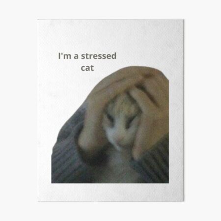 "I'm a stressed cat meme" Art Board Print by Nalartswork | Redbubble