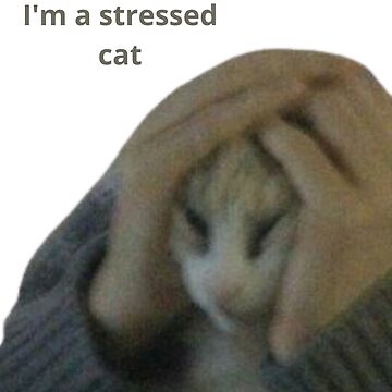 Pegatina con la obra «Soy un gato estresado meme» de Nalartswork ...