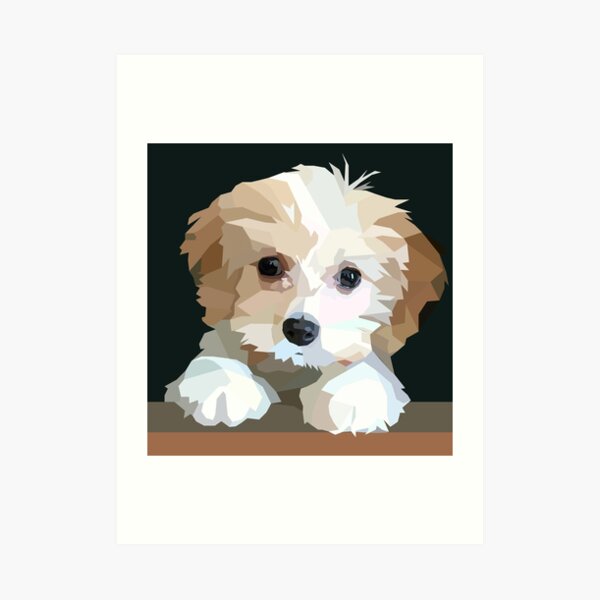 Cavachon Gifts & Merchandise | Redbubble