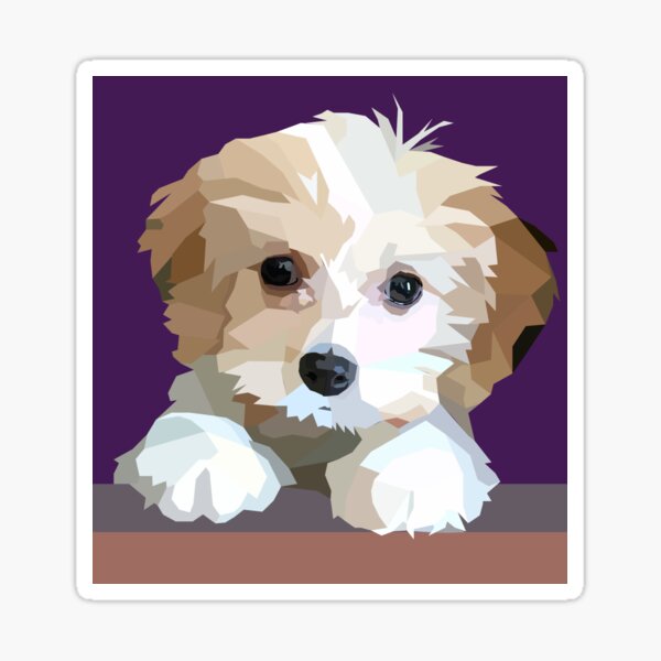 "Cute Cavachon Dog " Sticker for Sale by jrepkin | Redbubble