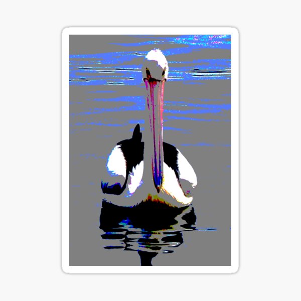 "Australian Pelican!" Sticker for Sale by Mickangelhere | Redbubble