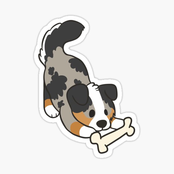 Australian Shepherd Stickers | Redbubble