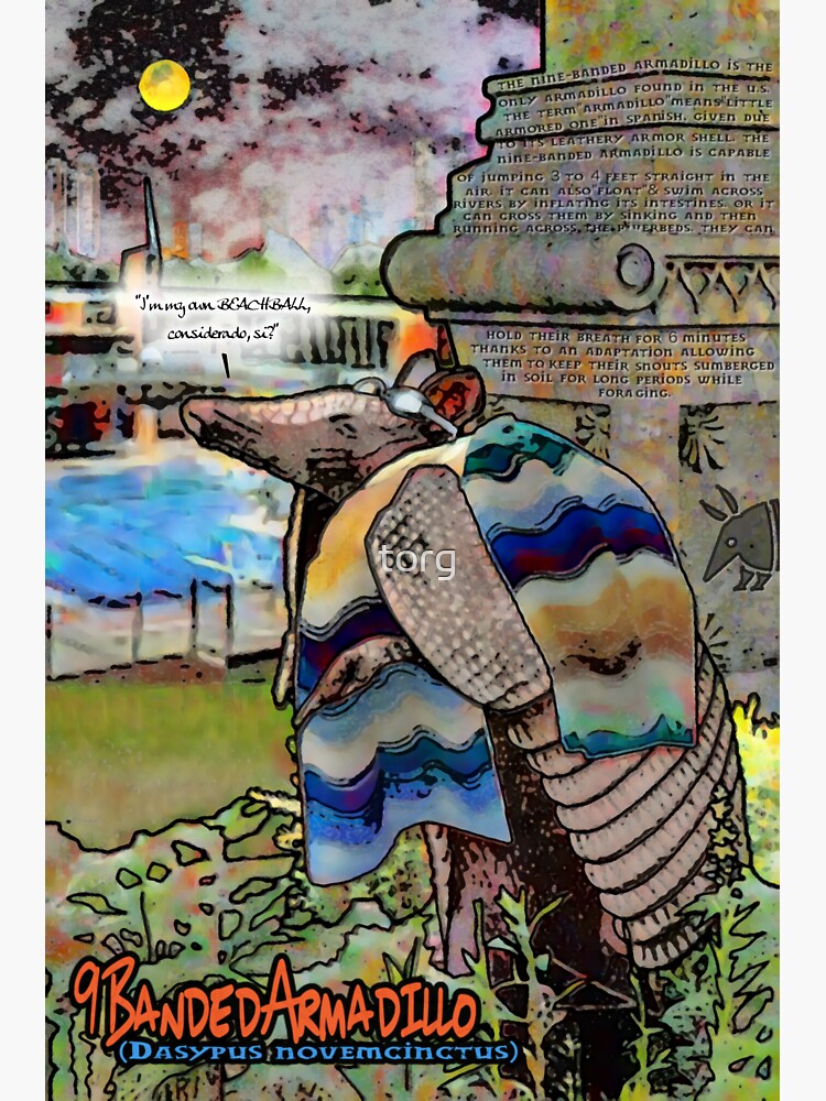 "9-Banded Armadillo: "Swimming Inflatables"" Sticker by torg | Redbubble