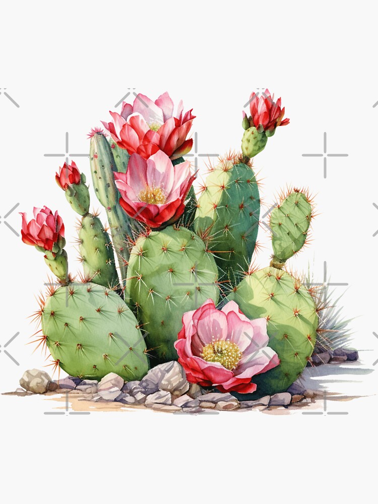"Blooming Cacti" Sticker for Sale by StardustMaia | Redbubble