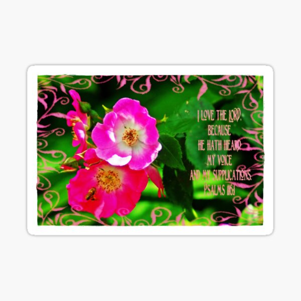 "Psalm 116:1" Sticker by romans12designs | Redbubble