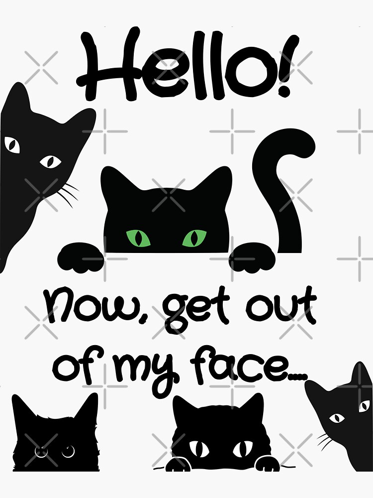 "Hello, Now Get Out of My Face!" Sticker for Sale by FireflyGoddess ...