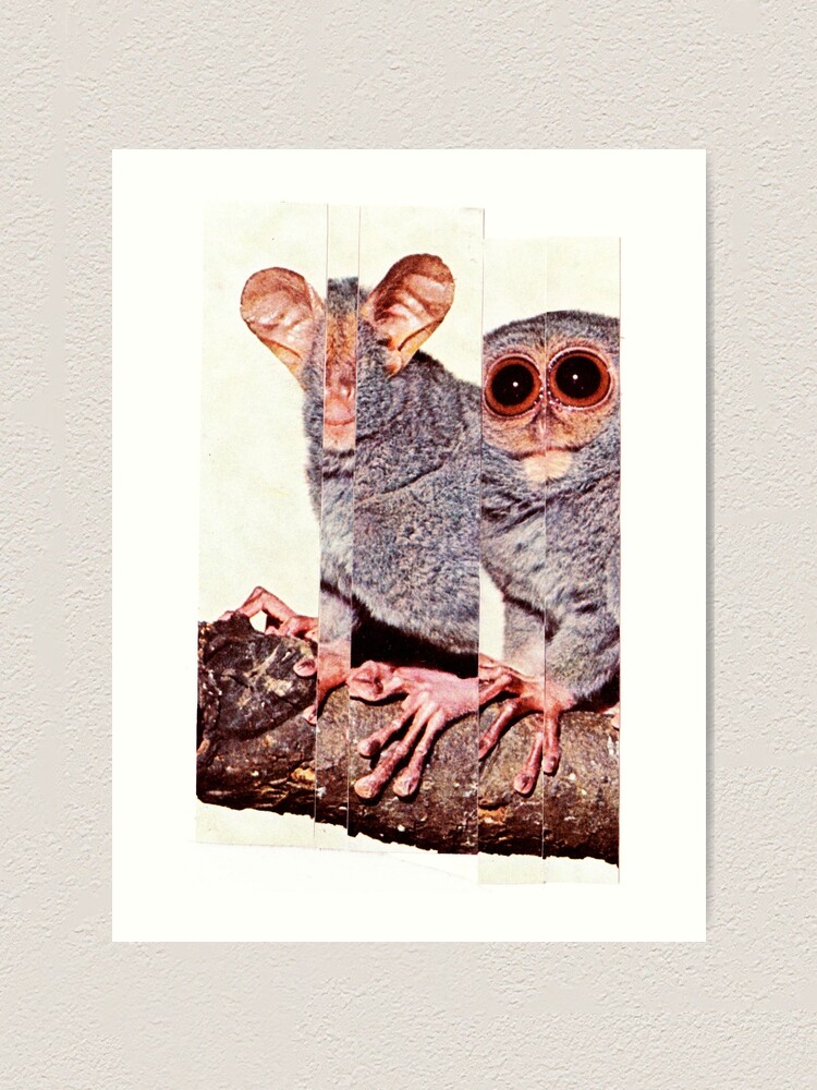 "Extended Animal 1 of 14." Art Print for Sale by PageA4 | Redbubble