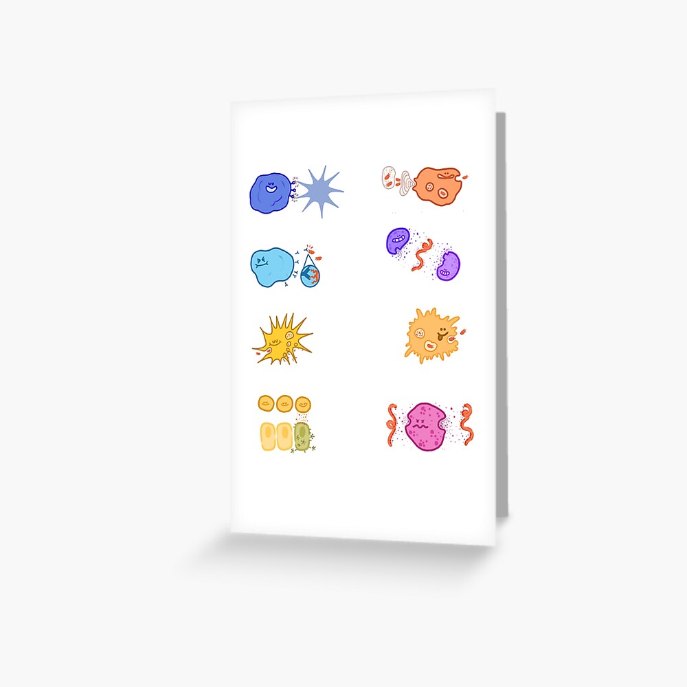 "Immune system cells cute minimal immunology " Sticker for Sale by Opid ...