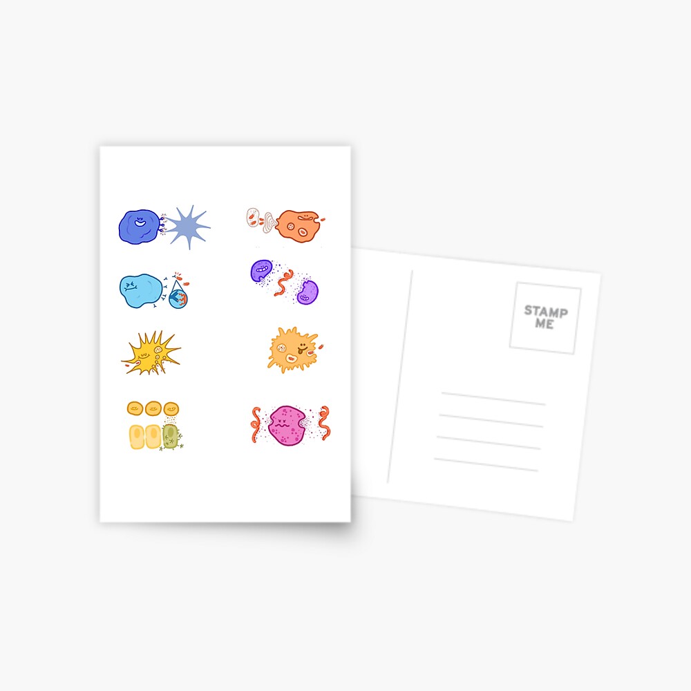 "Immune system cells cute minimal immunology " Sticker for Sale by Opid ...
